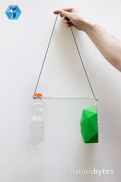 A digital making community for wildlife: Naturebytes camera traps ...