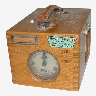 Pigeon Pi - Raspberry Pi