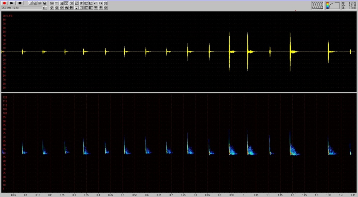 Bat Pi - Raspberry Pi