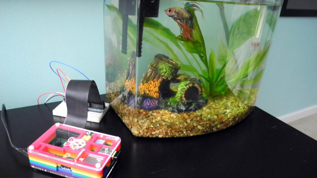 fish Archives - Raspberry Pi