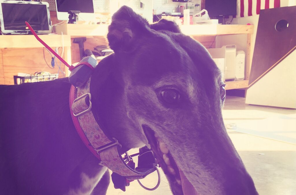 Bluetooth Low Energy Archives - Raspberry Pi