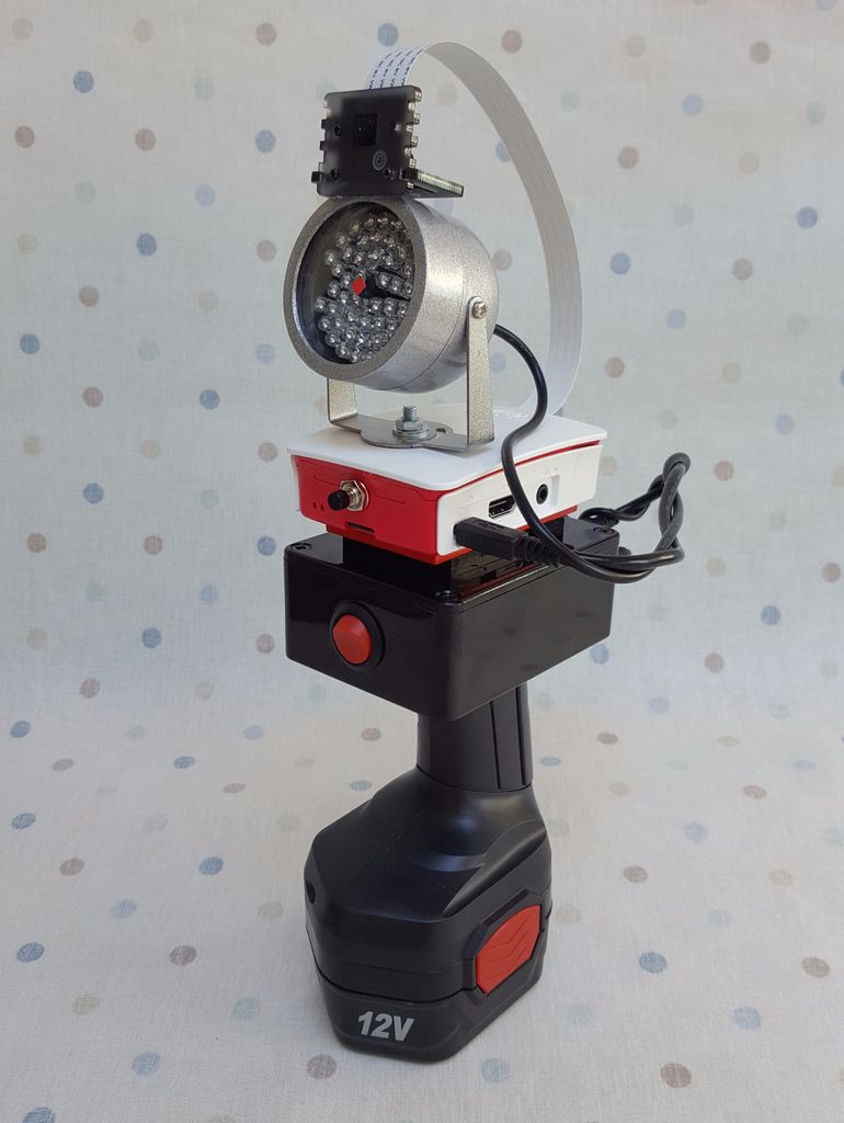 Batinator - spot bats in flight - Raspberry Pi