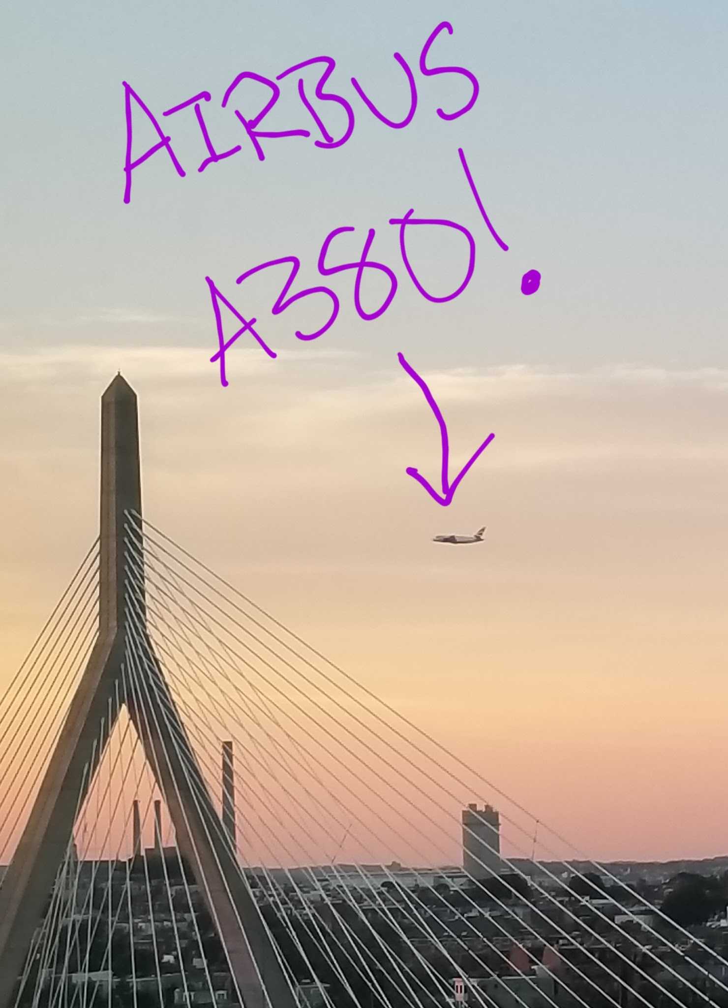 Plane Spotting with Pi and Amazon Alexa - Raspberry Pi