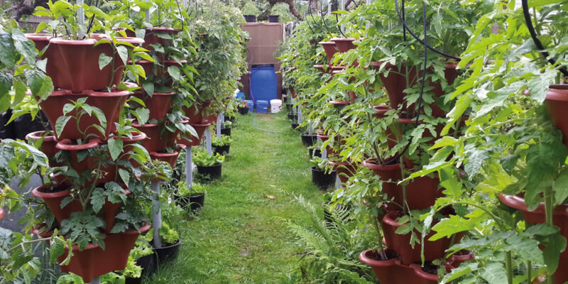 Hydroponic gardening with a Raspberry Pi — Raspberry Pi Official Magazine