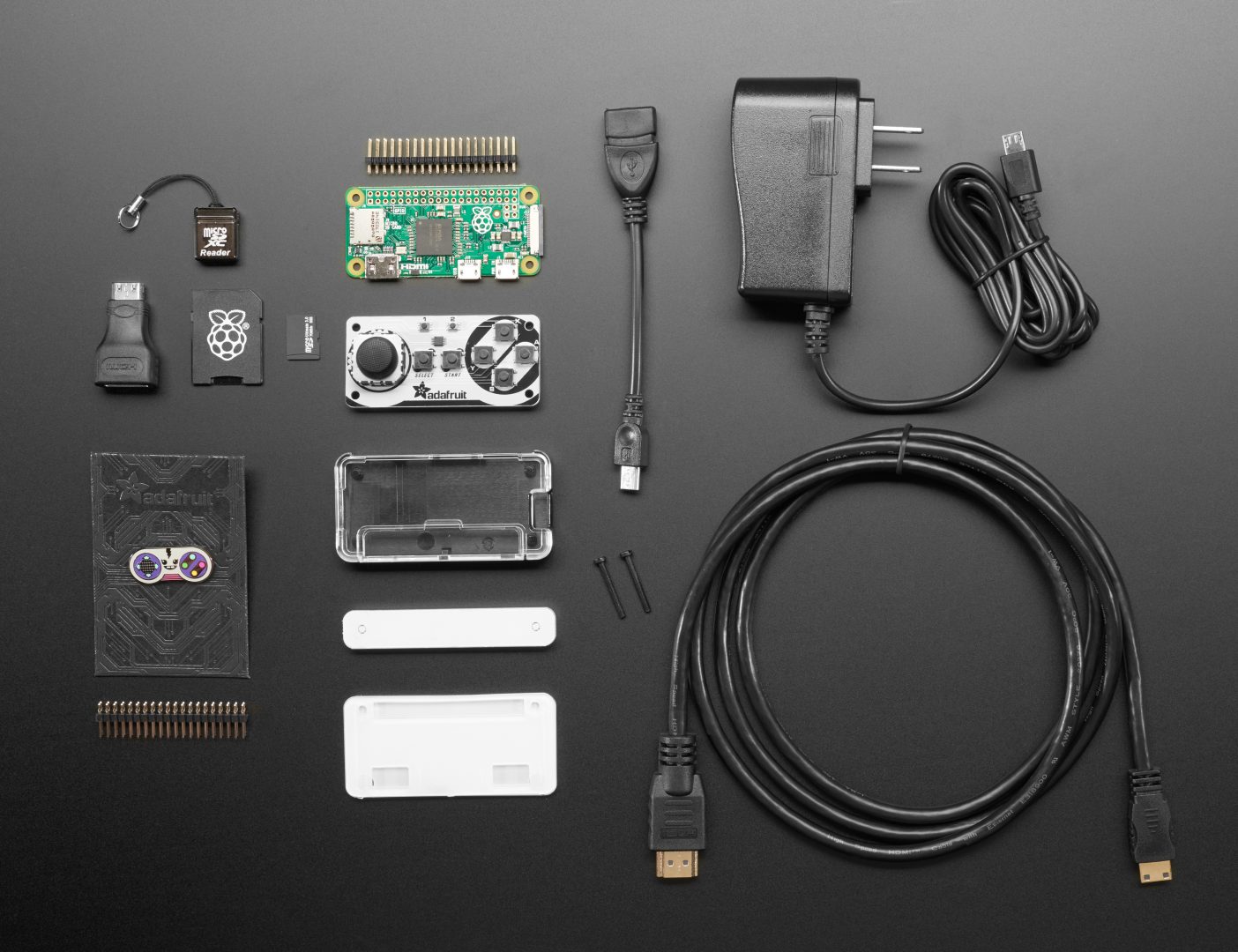 Spooktacular Halloween Haunted Portrait - Raspberry Pi