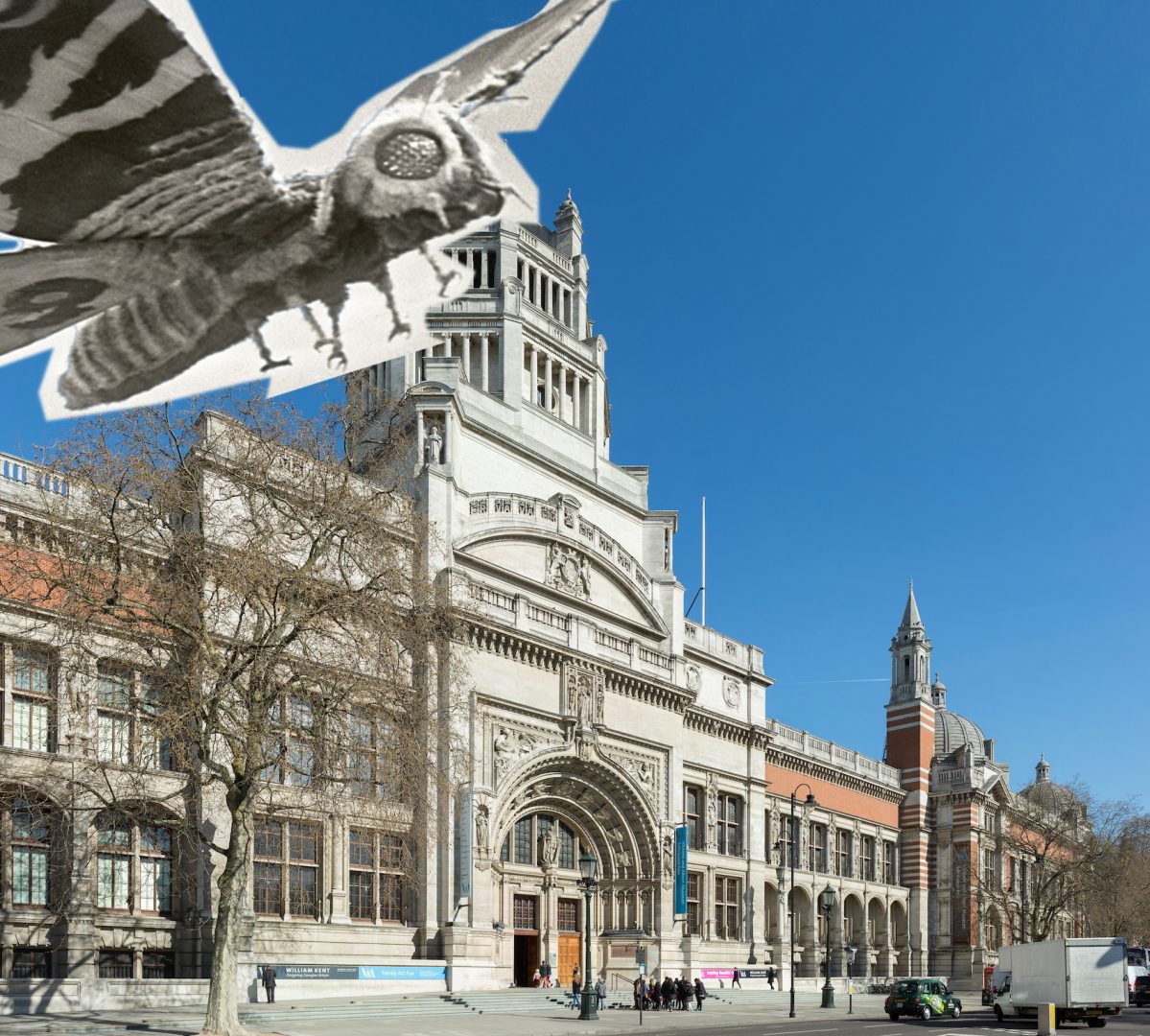 Monitoring insects at the Victoria and Albert Museum - Raspberry Pi