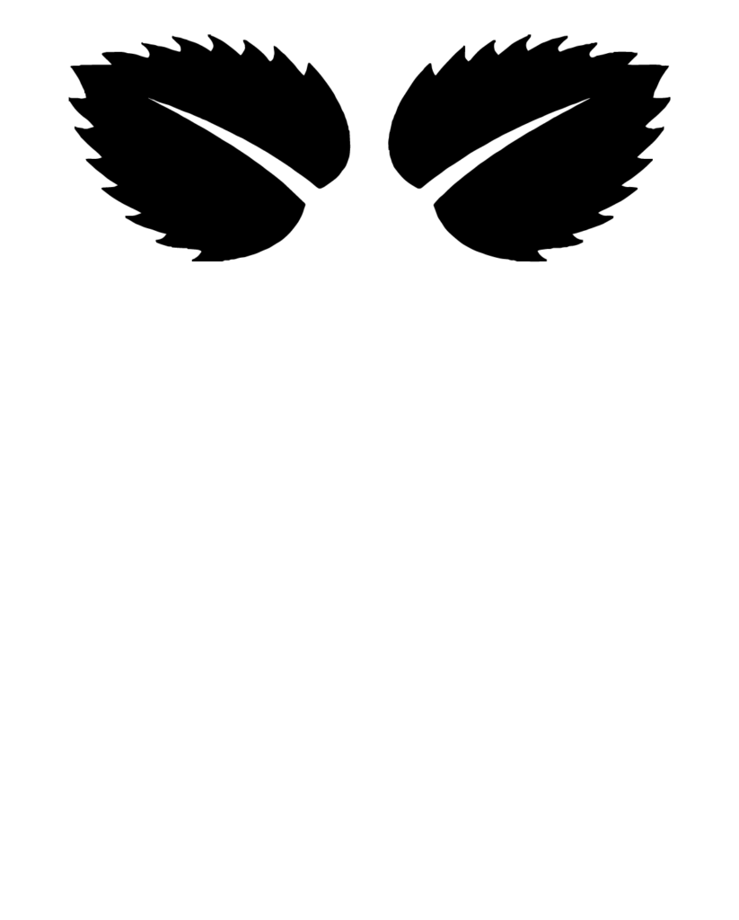 Make our light-up Raspberry Pi box for #MonthOfMaking - Raspberry Pi