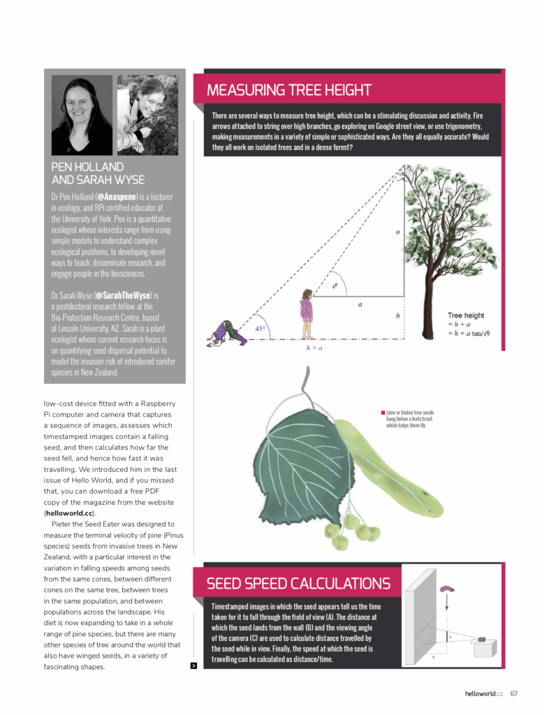 Exploring the interface of ecology, mathematics, and digital making | Hello World #11 - Raspberry Pi