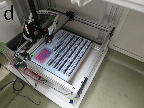 Raspberry Pi vs antibiotic resistance: microbiology imaging with open ...