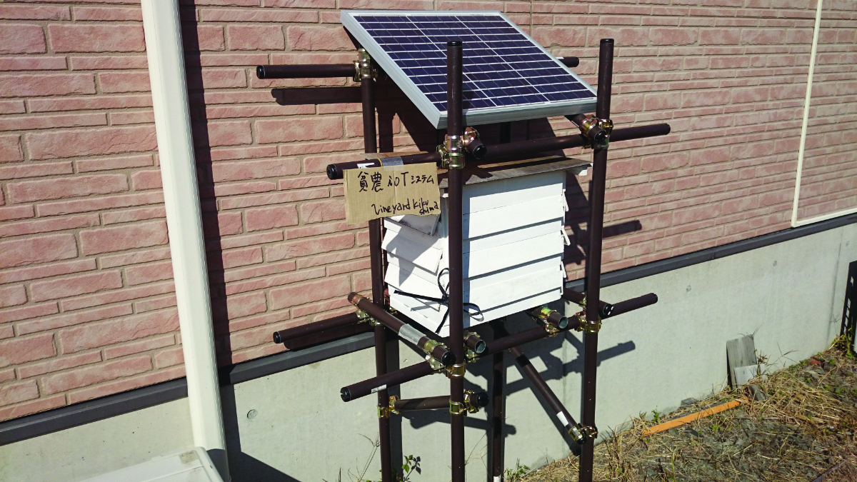 Vineyard Kikushima — Raspberry Pi Official Magazine