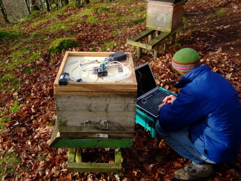 Monitoring Bees With A Raspberry Pi And Beemonitor Raspberry Pi
