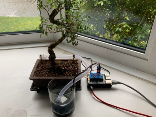Raspberry Pi–powered bonsai watering system - Raspberry Pi