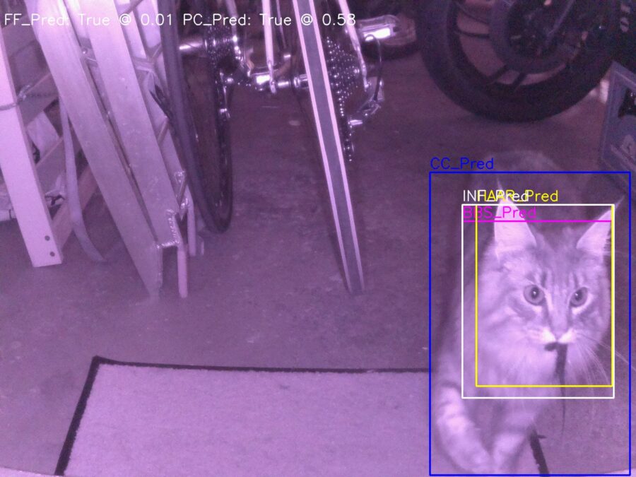 Deep learning cat prey detector - Raspberry Pi