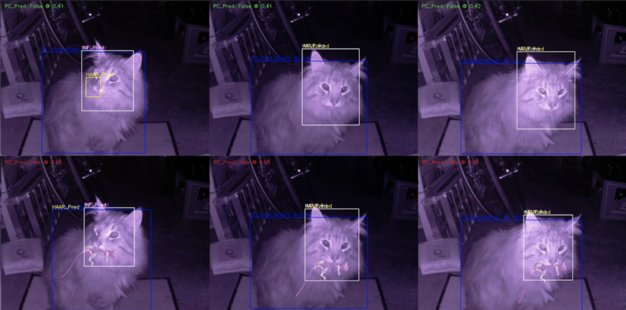 Deep Learning Cat Prey Detector Raspberry Pi