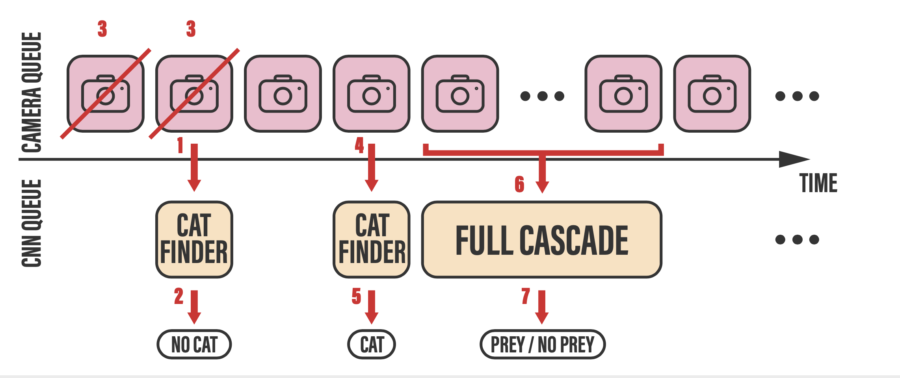 Deep learning cat prey detector - Raspberry Pi