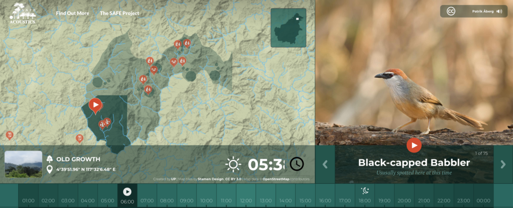 Raspberry Pi listening posts 'hear' the Borneo rainforest - Raspberry Pi