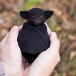 Ultrasonically detect bats with Raspberry Pi - Raspberry Pi