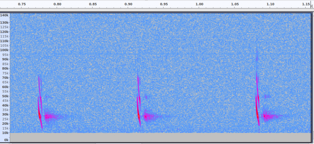 Ultrasonically detect bats with Raspberry Pi - Raspberry Pi