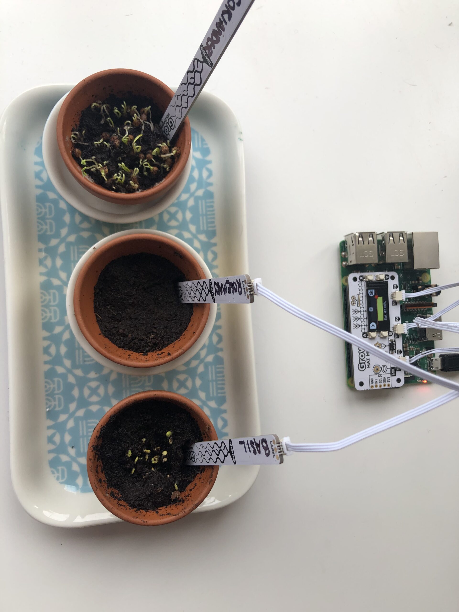 Review: Grow kit — Raspberry Pi Official Magazine
