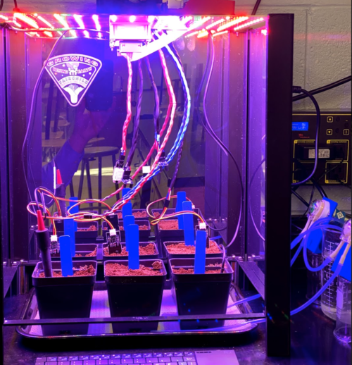 Kay-Berlin Food Computer | The MagPi #104 - Raspberry Pi