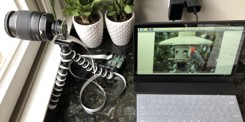 ML-based Bird and Squirrel Detector — Raspberry Pi Official Magazine