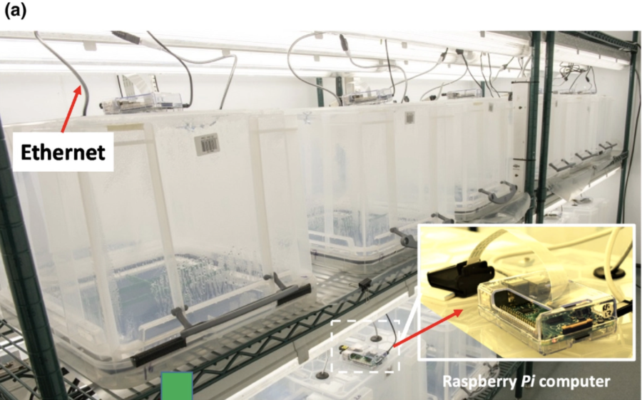 Meet SeedGerm: a Raspberry Pi-based platform for automated seed imaging ...