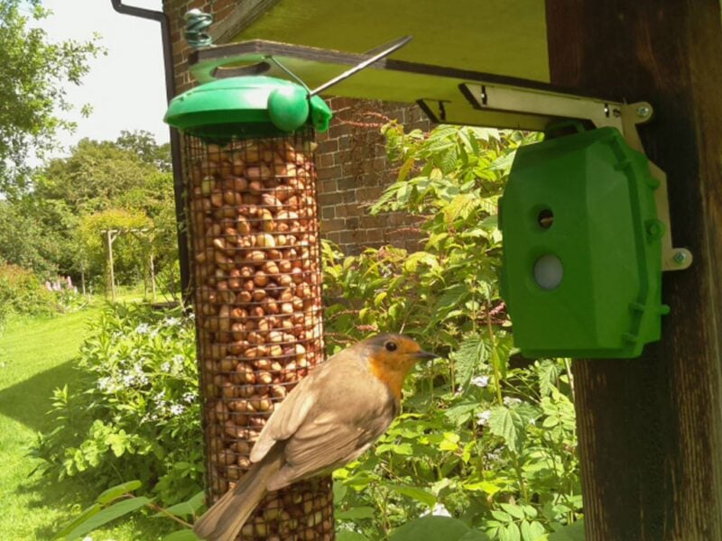 Get outside with these Raspberry Pi summer projects - Raspberry Pi