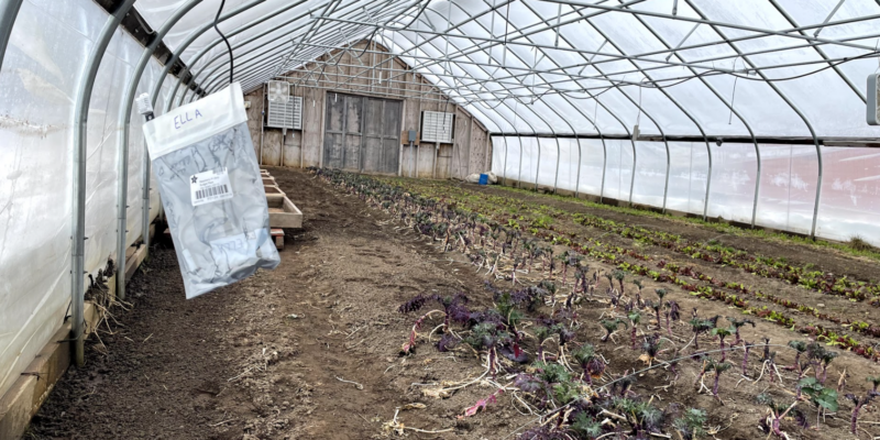 Farm Sensor Dashboard — Raspberry Pi Official Magazine