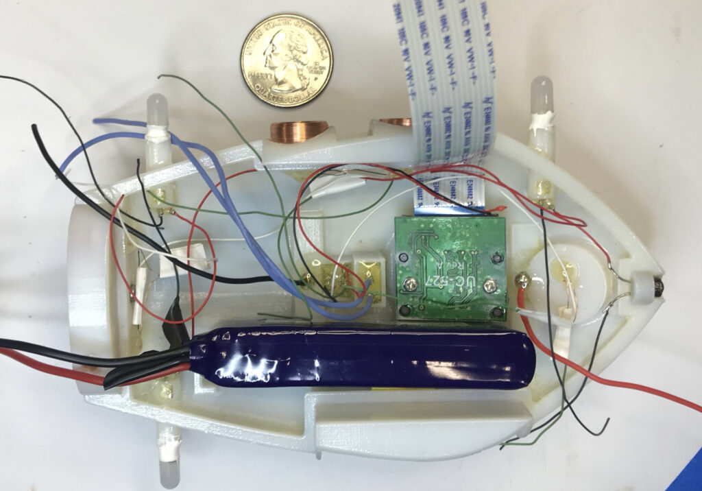 Bluebot Shoal Fish Robot - Raspberry Pi
