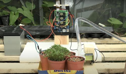Raspberry Pi Zero waters your plants and records growth timelapse ...