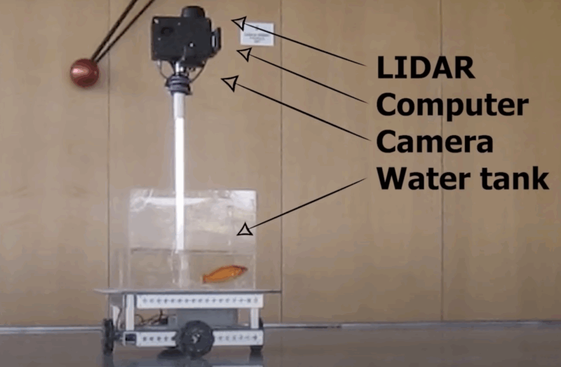 These fish can drive their tank to get treats - Raspberry Pi
