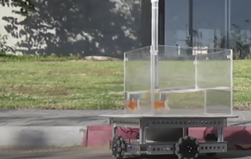 These fish can drive their tank to get treats - Raspberry Pi
