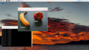 Using the Picamera2 library with TensorFlow Lite - Raspberry Pi
