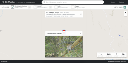 Classify birds acoustically with BirdNET-Pi - Raspberry Pi
