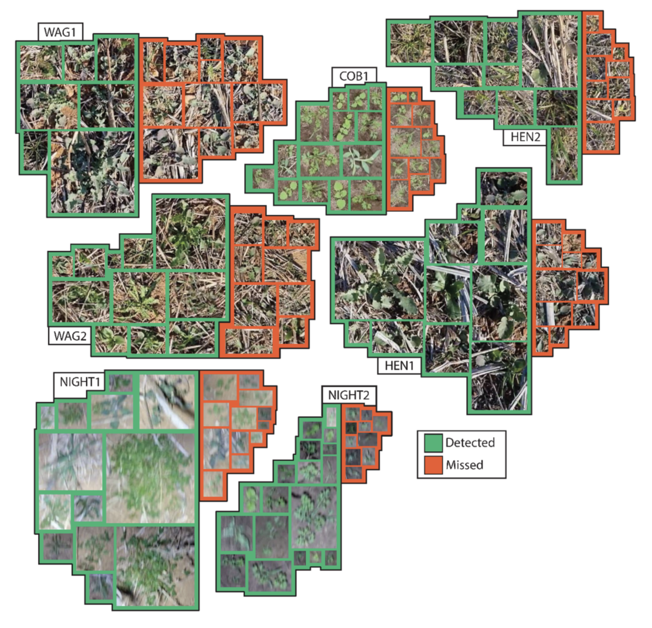 Open Weed Locator: use AI to detect weeds with Raspberry Pi — Raspberry ...