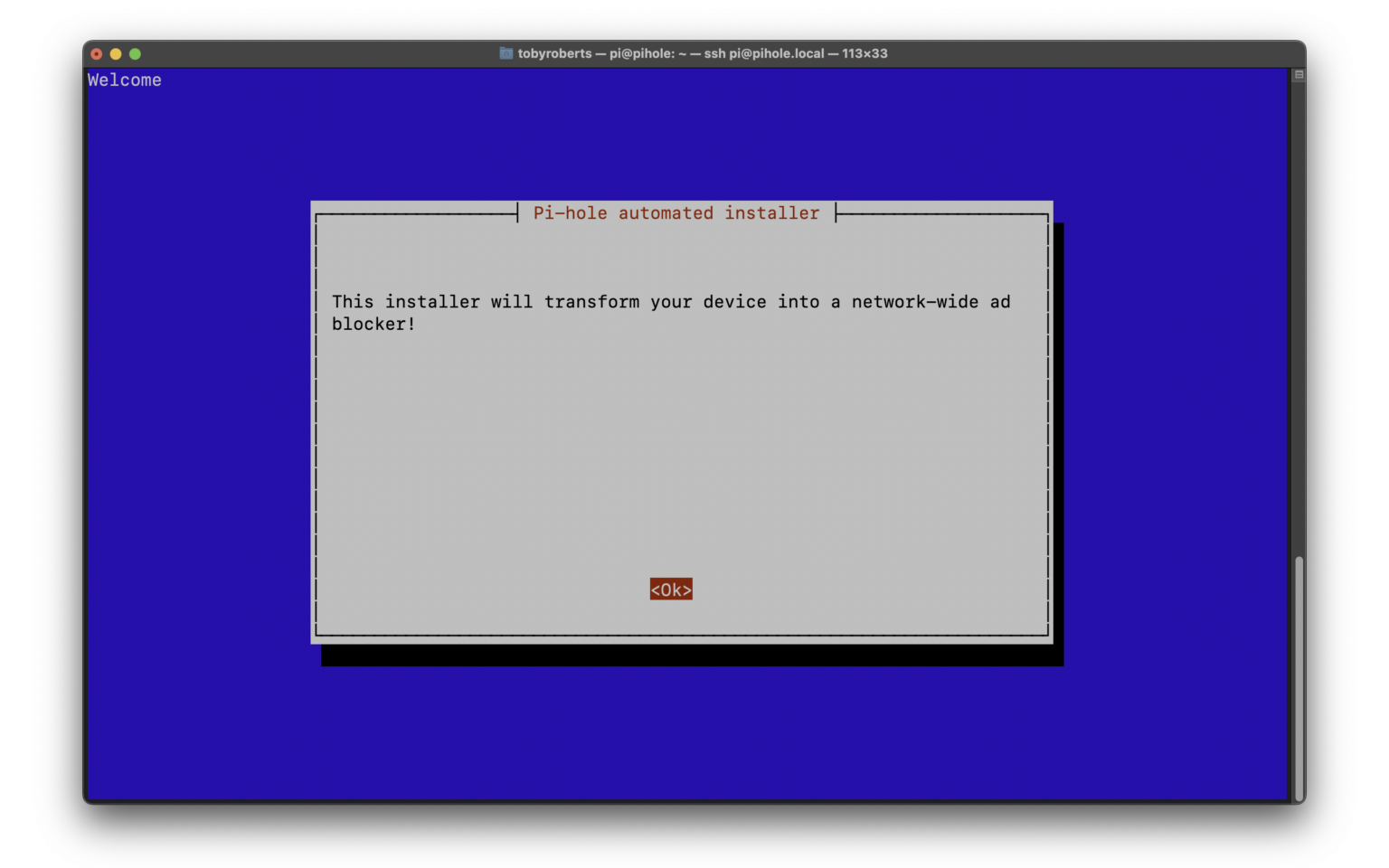 Block Ads On Every Device In Your House With A Raspberry Pi And Pi Hole Raspberry Pi