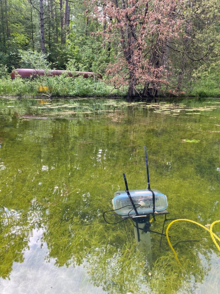 Raspberry Pi keeps an eye on freshwater fishes in Canada - Raspberry Pi