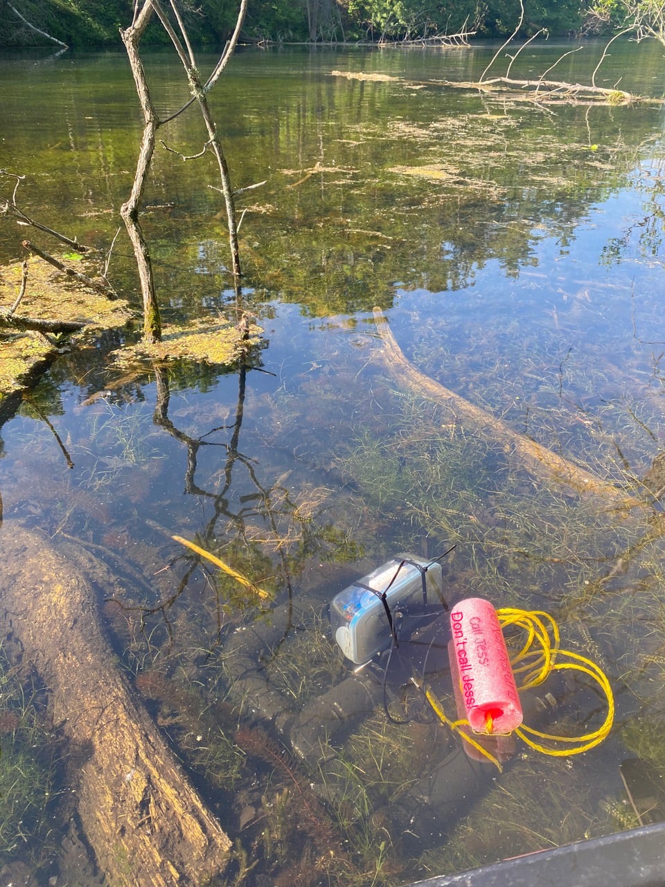 Raspberry Pi keeps an eye on freshwater fishes in Canada - Raspberry Pi