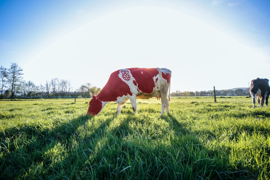 A Big Bang Update For Tensorflow Lite For Microcontrollers Raspberry Pi