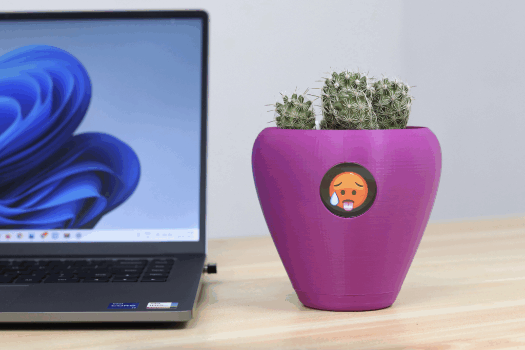 Turn your houseplant into a pet - Raspberry Pi