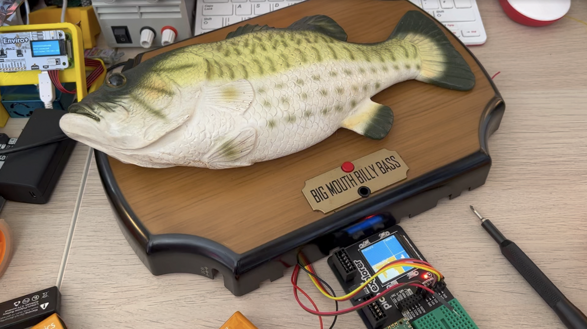 Big Mouth Billy Bass — Raspberry Pi Official Magazine