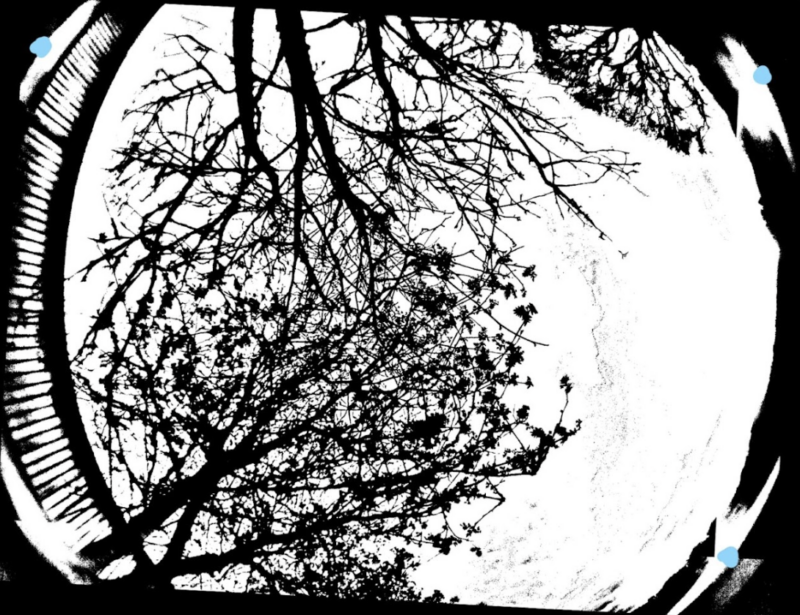 Observing trees through the seasons with ForestryPi — Raspberry Pi ...