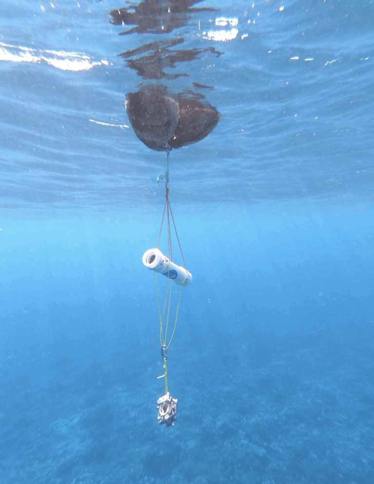 Maka Niu deep-sea imaging system | The MagPi #125 - Raspberry Pi