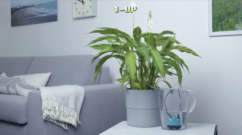 Raspberry Pi Pico Plant Waterer — Raspberry Pi Official Magazine