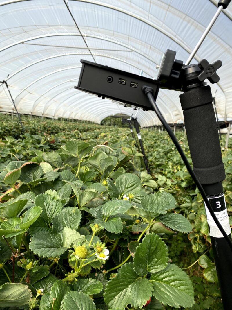 Pi-powered pollination monitors support farming in Australia - Raspberry Pi