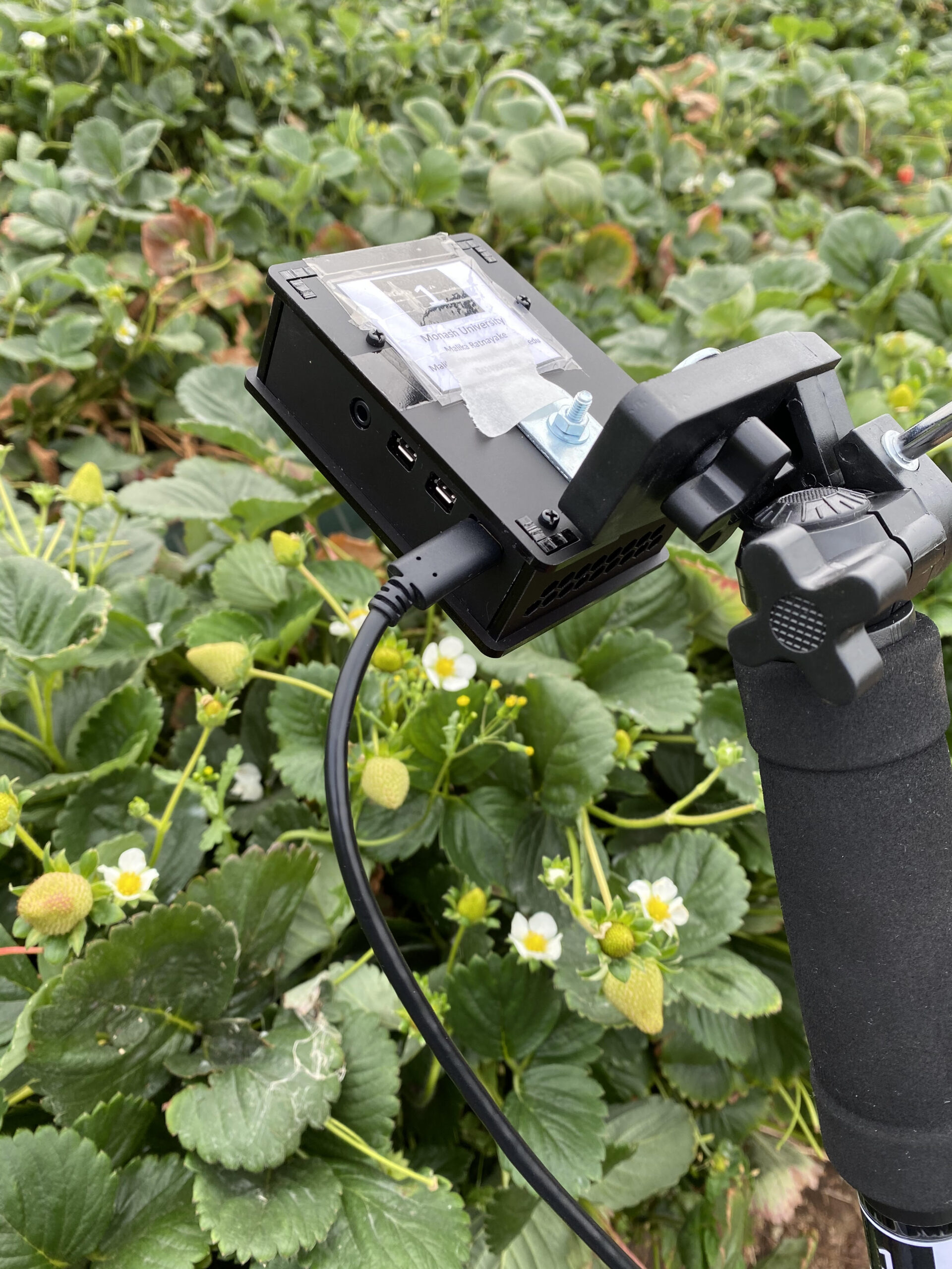 Pi-powered pollination monitors support farming in Australia - Raspberry Pi