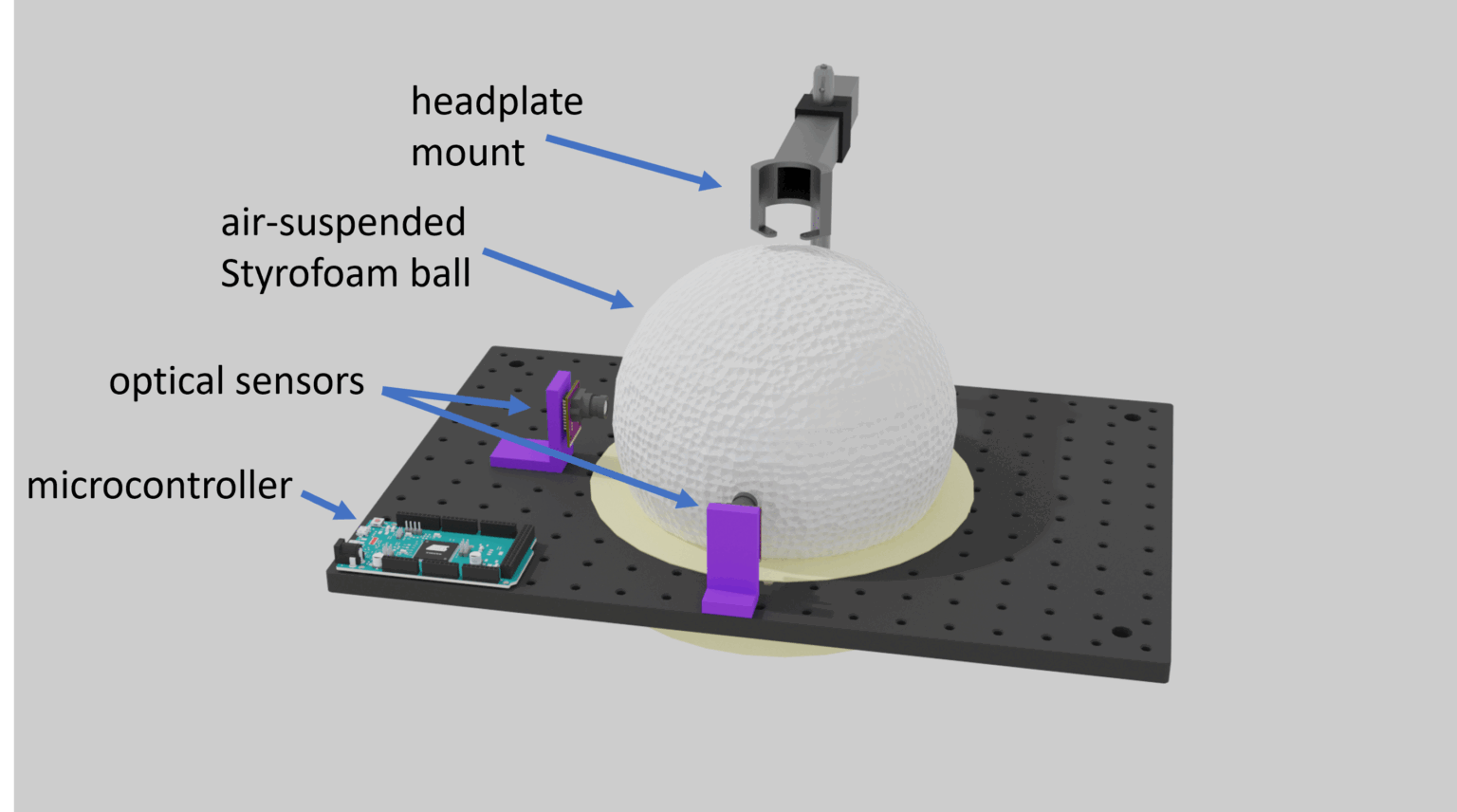 Mice explore virtual worlds with a Raspberry Pi-powered VR headset ...