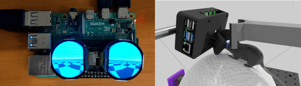 Mice explore virtual worlds with a Raspberry Pi-powered VR headset ...