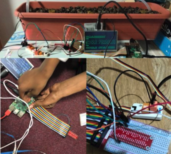 Aquaponics for beginners with the TynecastleTechs team - Raspberry Pi