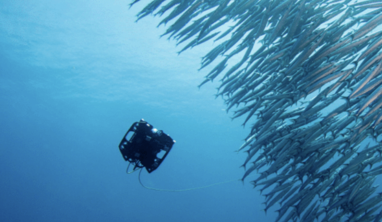 This Raspberry Pi-powered submarine ROV safely explores the depths ...